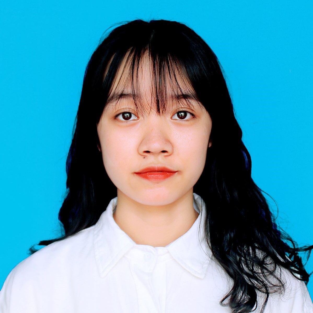 CV - Anh T. Nguyen / AI Researcher